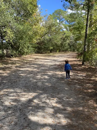 Best Hikes and Trails in Bells Mill Park | AllTrails