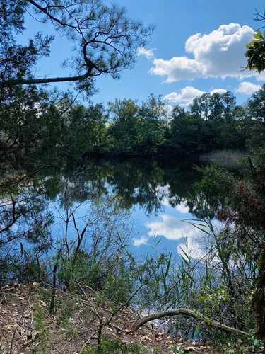 Best Hikes and Trails in Bells Mill Park | AllTrails