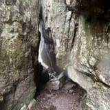 Wilburn Ridge via Appalachian Trail, Virginia - 1,732 Reviews, Map ...