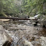 Basin Cascade Trail, New Hampshire - 1,626 Reviews, Map | AllTrails