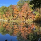 Geode State Park, Iowa - 313 Reviews, Map | AllTrails