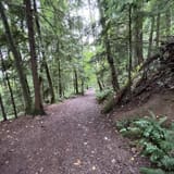Talus Rocks Loop, Washington - 1,430 Reviews, Map | AllTrails