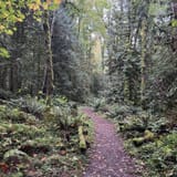 Talus Rocks Loop, Washington - 1,439 Reviews, Map | AllTrails