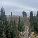 Glenmore Reservoir Loop, Alberta, Canada - 2,503 Reviews, Map | AllTrails