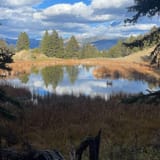 Beaver Ponds Loop Trail, Montana - 1,118 Reviews, Map | AllTrails