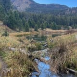 Beaver Ponds Loop Trail, Montana - 1,118 Reviews, Map | AllTrails