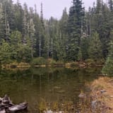 Deer Lake Trail, Washington - 810 Reviews, Map | AllTrails