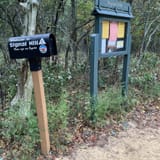 Signal Hill Trail, Arkansas - 867 Reviews, Map | AllTrails