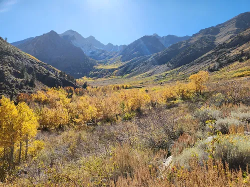 Best Horseback Riding Trails in Crowley Lake | AllTrails