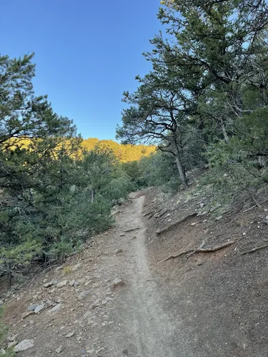 Best Cross Country Skiing Trails in Carson National Forest | AllTrails