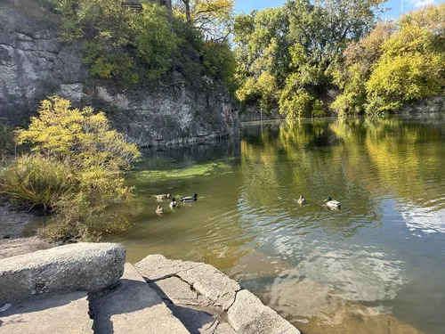 Best Hikes and Trails in Henry C. Palmisano Park | AllTrails