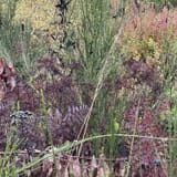 BPA Trail, Washington - 449 Reviews, Map | AllTrails