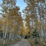 Inner Basin Trail, Arizona - 881 Reviews, Map | AllTrails