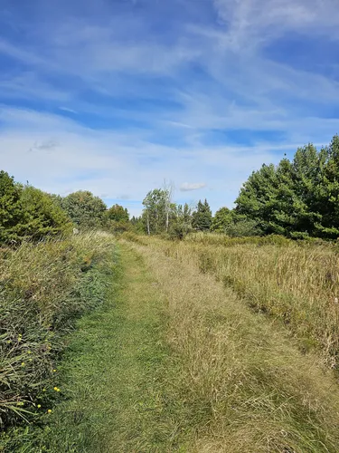 Best Hikes and Trails in Rock Point Provincial Park | AllTrails