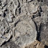 Rock Point Provincial Park, Ontario, Canada - 44 Reviews, Map | AllTrails