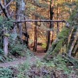 Iron Goat Trail, Washington - 1,334 Reviews, Map | AllTrails