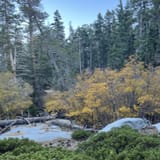 Round Valley Trail to Wellman Divide, California - 449 Reviews, Map ...