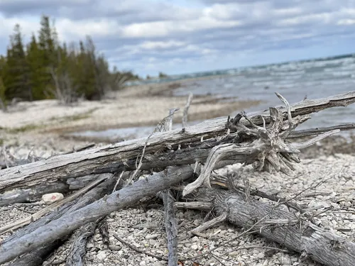 Best Hikes and Trails in Thompson's Harbor State Park | AllTrails