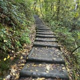 Deep Creek Loop Trail, North Carolina - 1,984 Reviews, Map | AllTrails