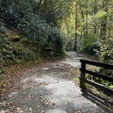 Deep Creek Loop Trail, North Carolina - 1,984 Reviews, Map | AllTrails
