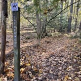 Beaver Brook Trail, Eastman Meadow Trail, and Maple Hill Ridge Loop ...