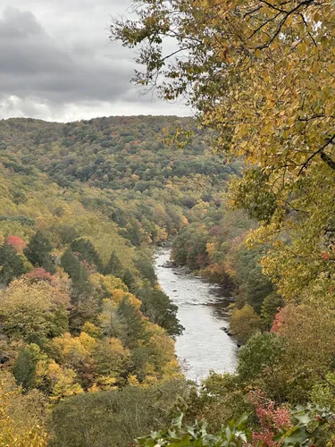 Best Hikes and Trails in Bear Run Nature Reserve | AllTrails