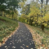 Washington Park Loop, Oregon - 1,458 Reviews, Map | AllTrails