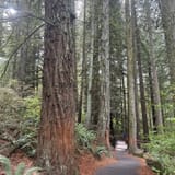 Washington Park Loop, Oregon - 1,458 Reviews, Map | AllTrails