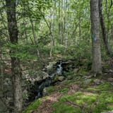Whitestone Cliffs Trail, Connecticut - 580 Reviews, Map | AllTrails