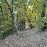 Memory Grove Trail, Utah - 1,267 Reviews, Map | AllTrails