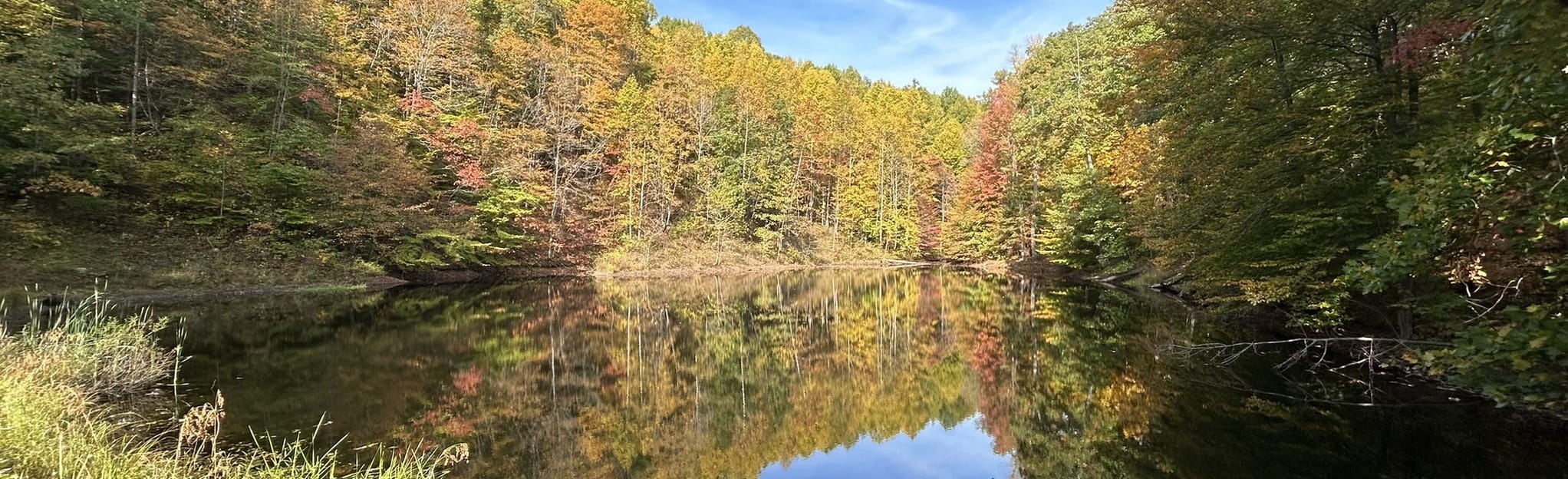 Mountain Tea State Forest Cabin and Pond, Indiana - 162 Reviews, Map ...