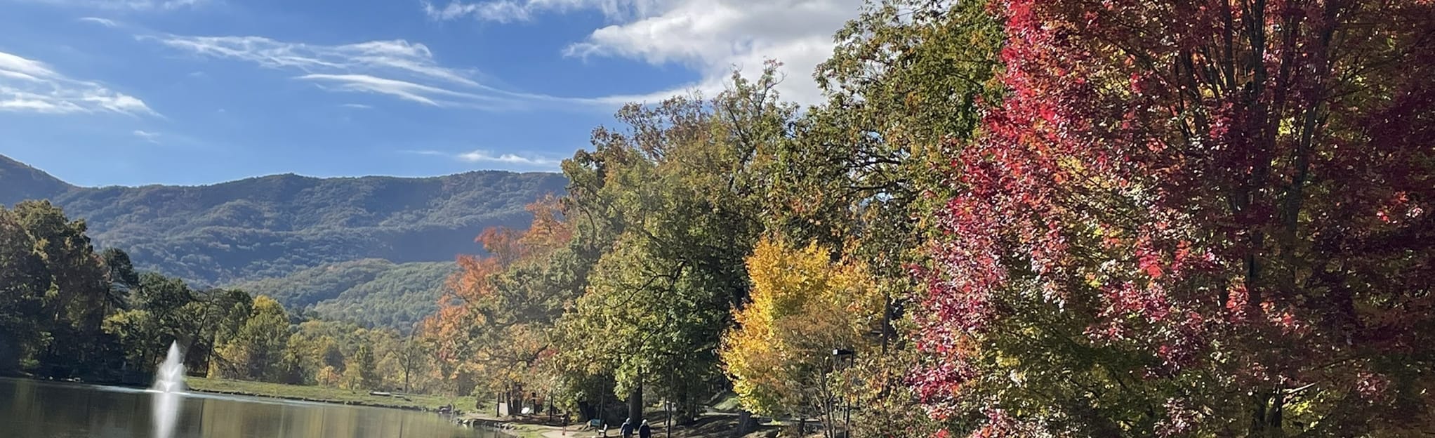 Lake Tomahawk Walking Trail, North Carolina - 581 Reviews, Map | AllTrails