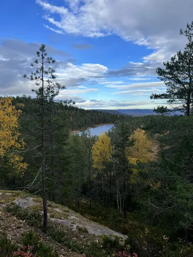 2023 Best Lake Trails in Blåfjell naturreservat | AllTrails