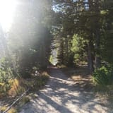 String Lake Trail, Wyoming - 2,001 Reviews, Map | AllTrails