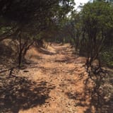 Dragoon Gulch Trail, California - 918 Reviews, Map | AllTrails