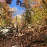 Lisa Falls Trail, Utah - 1,421 Reviews, Map | AllTrails