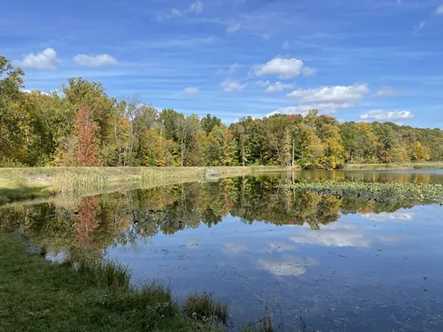 10 Best Trails and Hikes in Peninsula | AllTrails