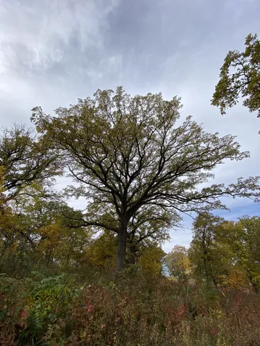 Best Hikes and Trails in Neal Smith National Wildlife Refuge | AllTrails