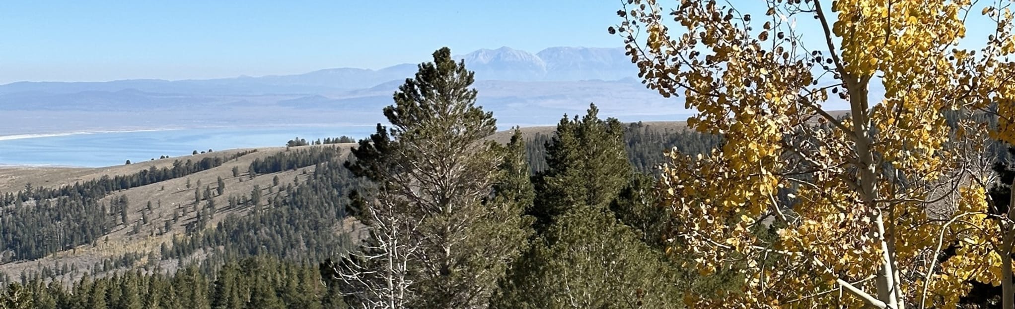 Kavanaugh Ridge, California - 48 Reviews, Map | AllTrails