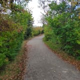 Halibut Point Trail, Massachusetts - 1,181 Reviews, Map | AllTrails