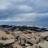 Halibut Point Trail, Massachusetts - 1,181 Reviews, Map | AllTrails