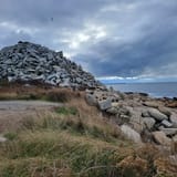 Halibut Point Trail, Massachusetts - 1,181 Reviews, Map | AllTrails