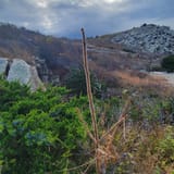 Halibut Point Trail, Massachusetts - 1,181 Reviews, Map | AllTrails