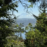 Marine View Park Loop Trail, Washington - 540 Reviews, Map | AllTrails
