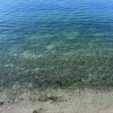 Marine View Park Loop Trail, Washington - 540 Reviews, Map | AllTrails