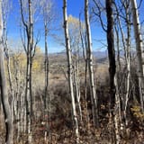Armstrong Trail to Dawns Trail Loop, Utah - 2,545 Reviews, Map | AllTrails