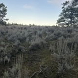 Packsaddle Lake, Idaho - 231 Reviews, Map | AllTrails