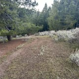 Packsaddle Lake, Idaho - 231 Reviews, Map | AllTrails