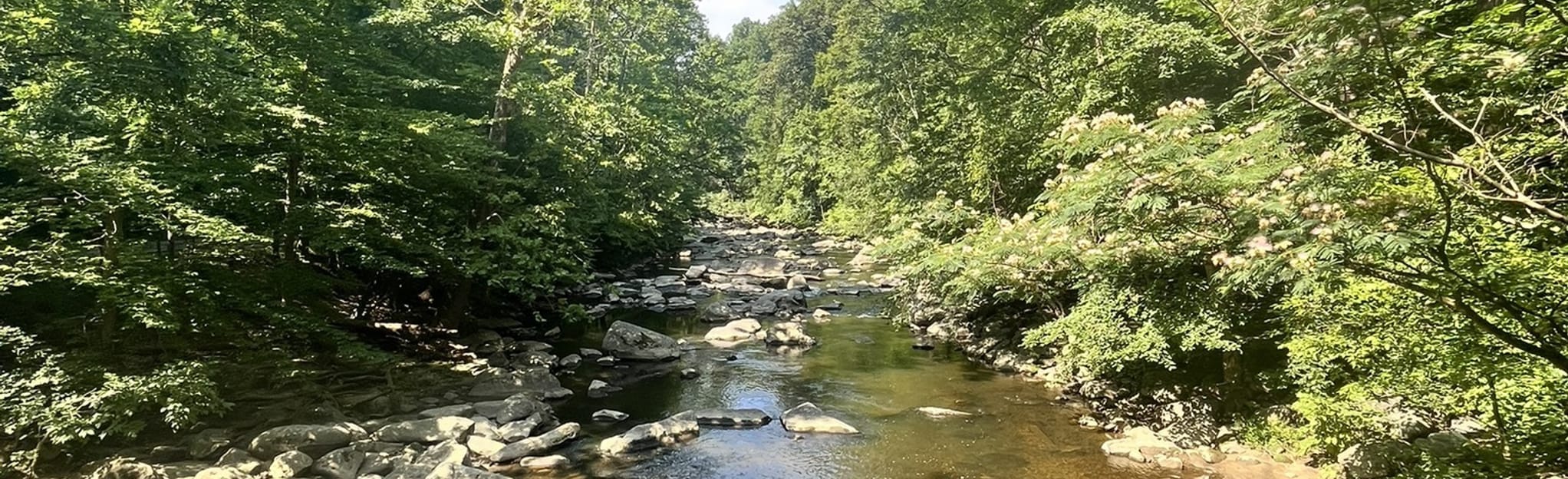 Western Ridge Trail to Valley Trail and Fort de Russy, District of ...