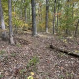 Crane Lake Trail, Missouri - 113 Reviews, Map | AllTrails